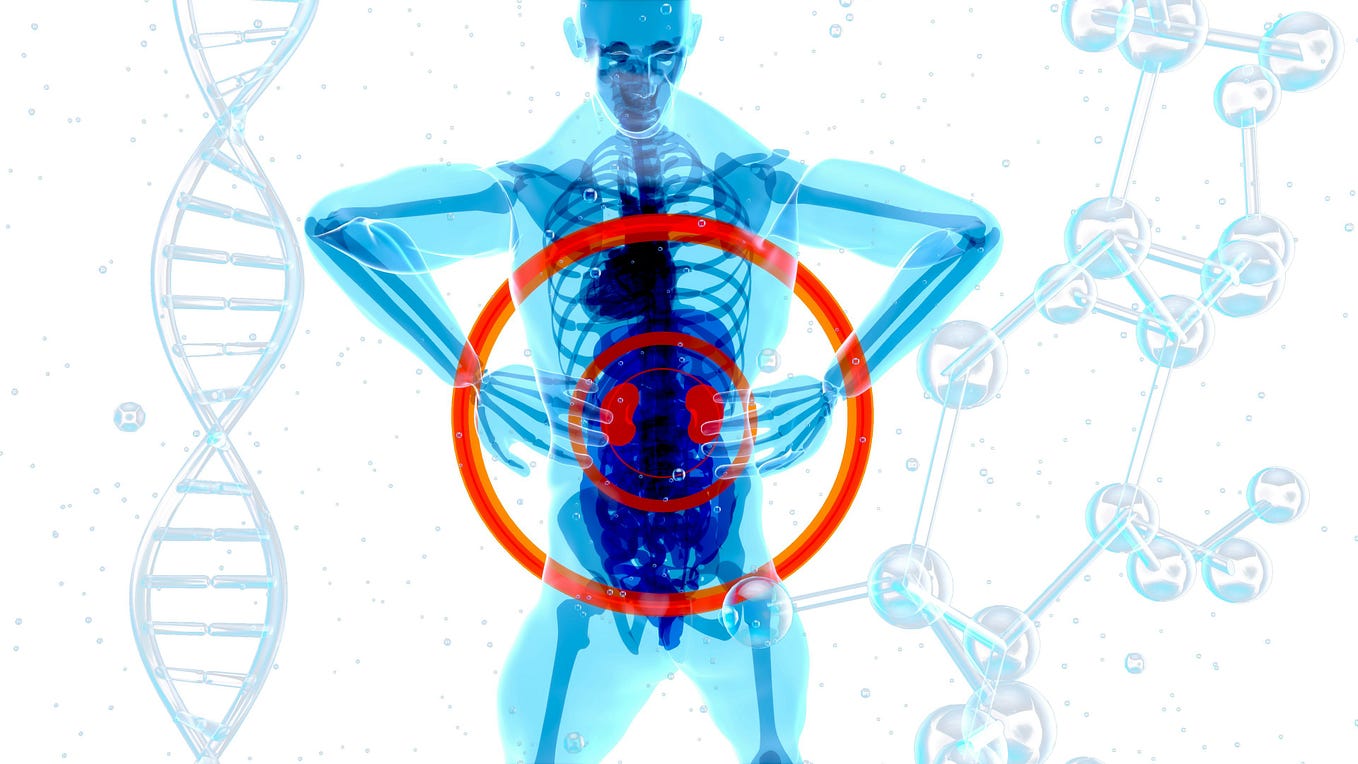 Kidney Disease: Causes, Symptoms and Treatment | Health and Lifestyle
