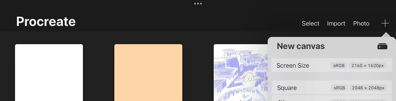 How to use Procreate drawing guides? | by Ashish Dangol | Medium