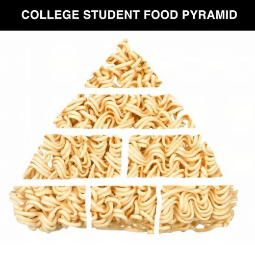 Basic Needs Insecurity on College Campuses: A Growing Issue | by Syed ...