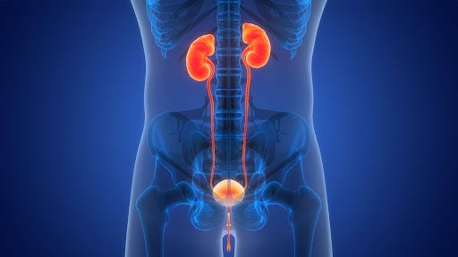 Exploring the Role of a Urologist: Your Guide to Understanding | by Dr ...