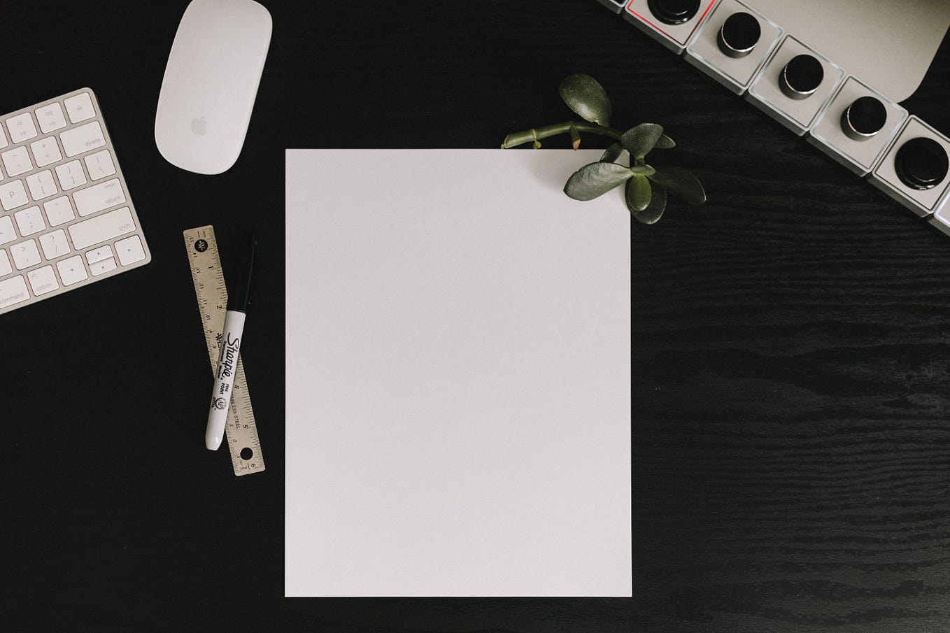 How To Build Nextjs And Reactstrap Admin Dashboard Project By Code Road Medium