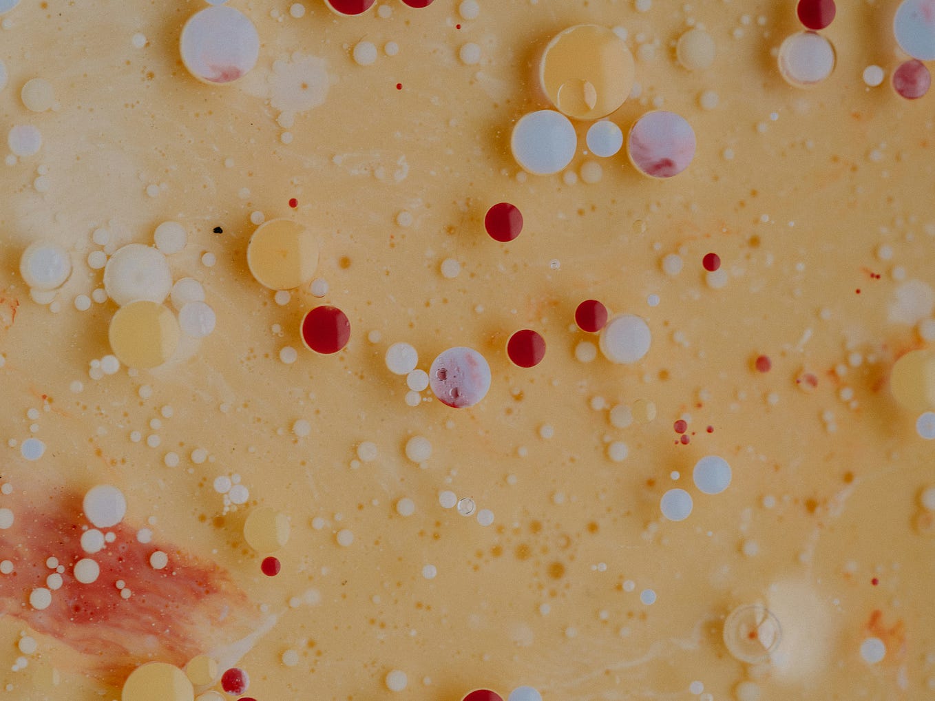 Building Knowledge Graphs with spaCy, NetworkX, and Matplotlib: A Glimpse Into Semantic Role ...