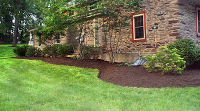 5 Steps to Fix a Bumpy Lawn. Is your lawn bumpy and you are in awe ...