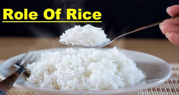 Basic Information of Nutrition.. Nutrition is the foundation of good ...