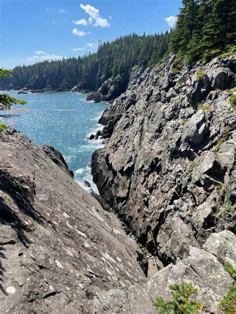 Top Family Day Trips from Seattle | by Gretahowe | Oct, 2024 | Medium