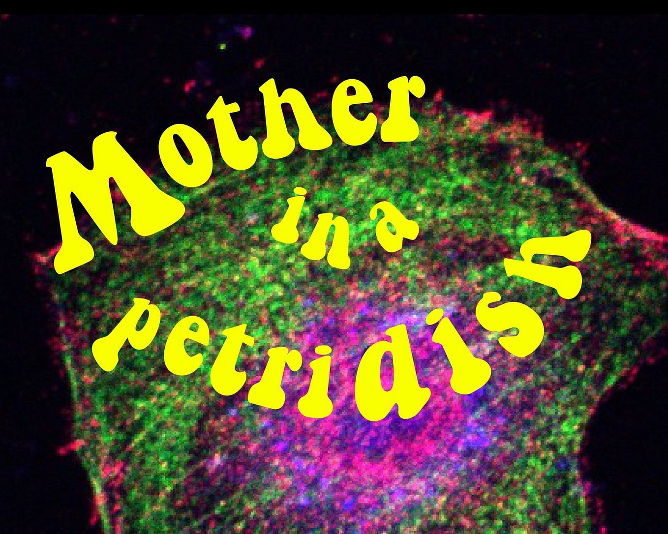 Short story: A New Node. In this short, speculative story on the… | by ...