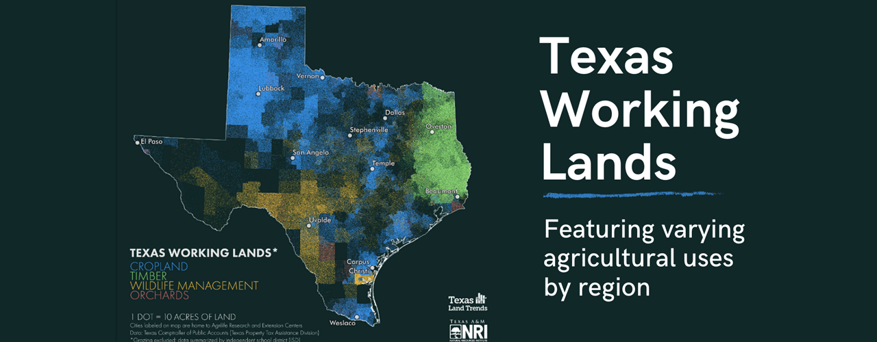 Map of the Month: Trends along Texas Borderlands | by Texas A&M Natural ...