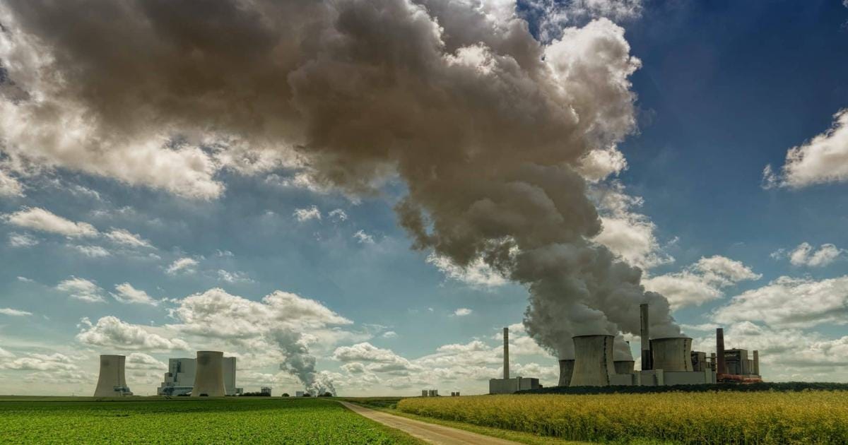 Soil Health — An Open System Problem | by Michael Porter | The New ...