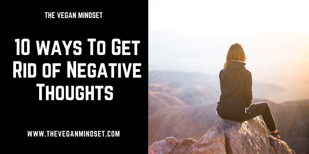 13 Amazing Vegan Quotes To Inspire You To Go Plant-based | by Garry Z ...