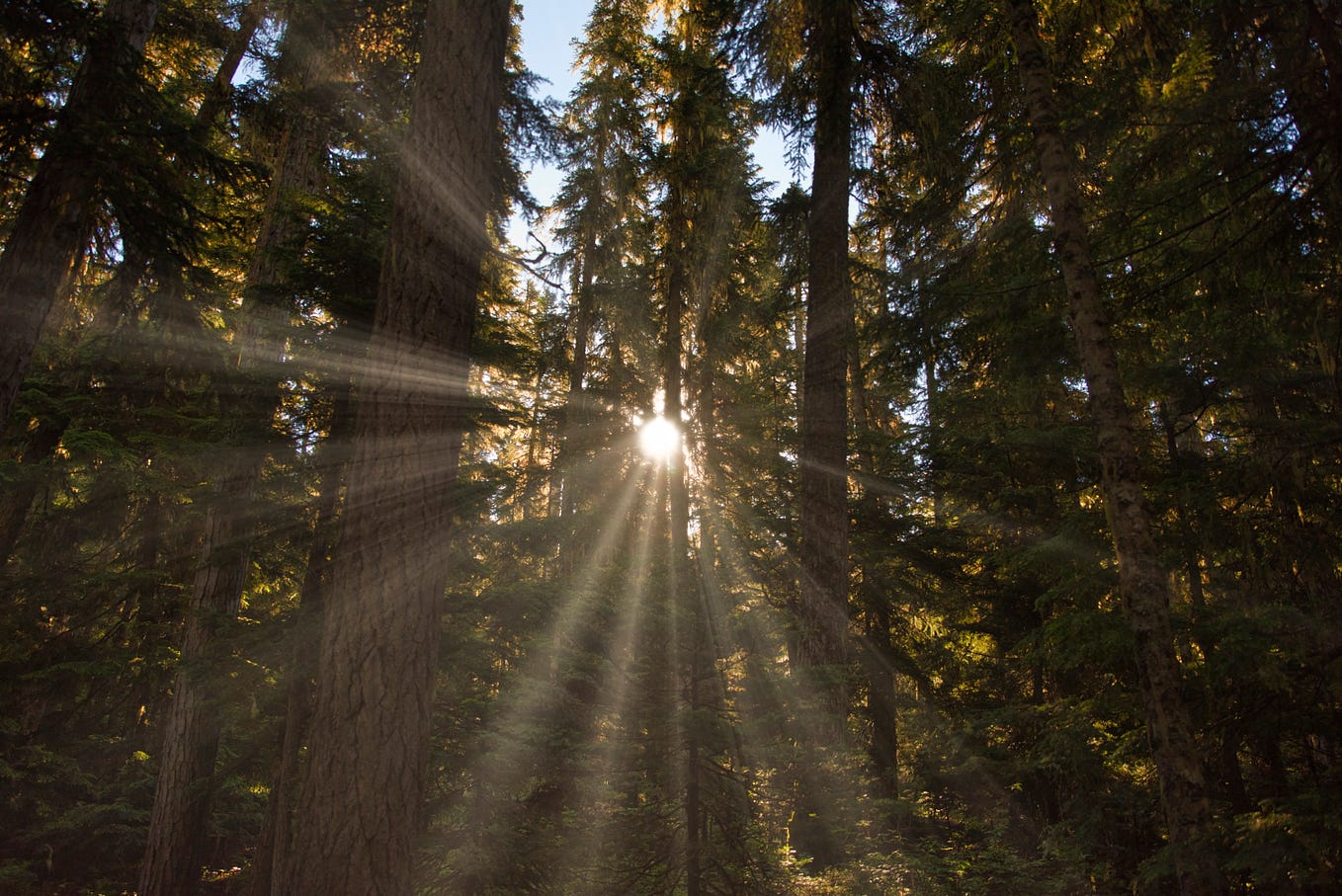 Streaming Any File Type With Autoloader In Databricks A Working Guide