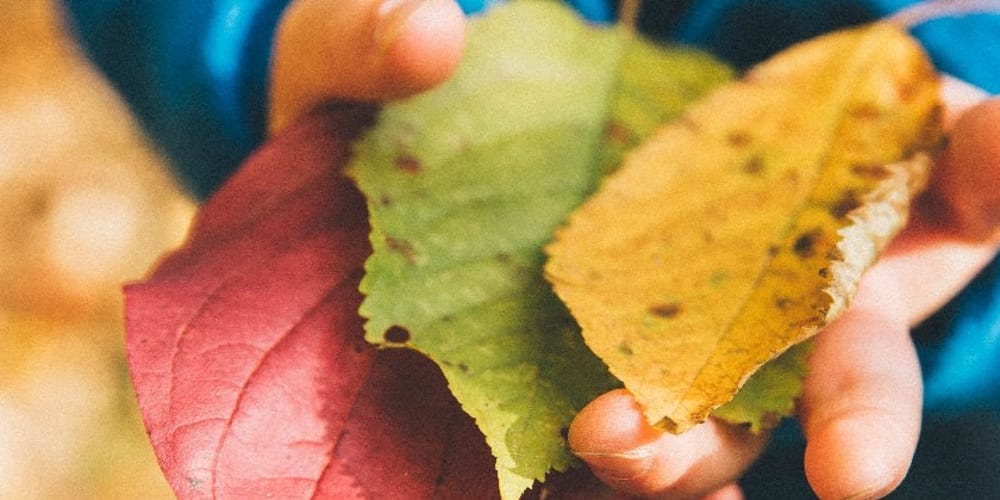 Using Extension Methods in C# to Build Fluent Code | by Matt Eland | Level Up Coding