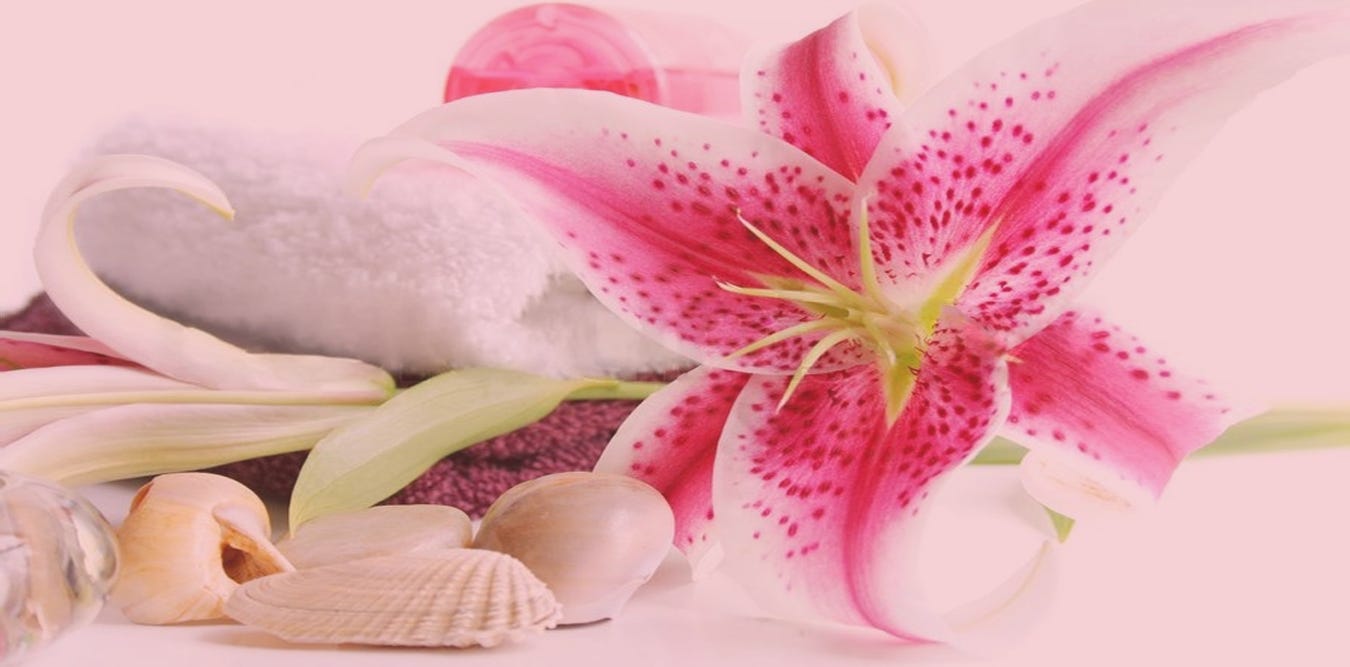 Lily Spa-Adult Massage Santa Rosa - Lilyspasantarosa - Medium