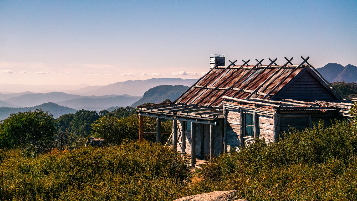 Survival of the Hottest. Forget the hunger games, we’re in the… | by ...