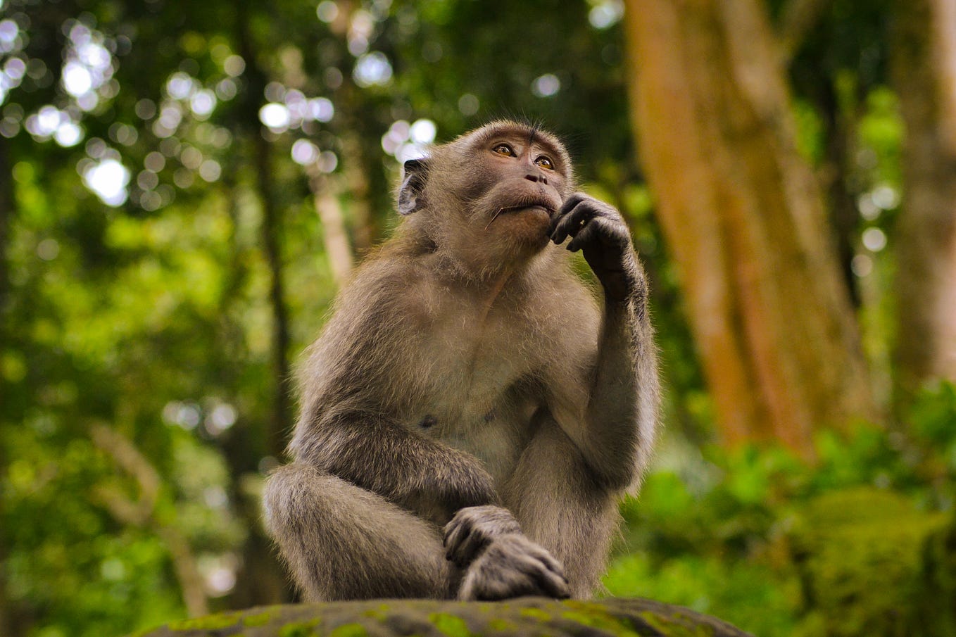 Javascript Jinja And Flask A Guide To Bringing The Power Of By