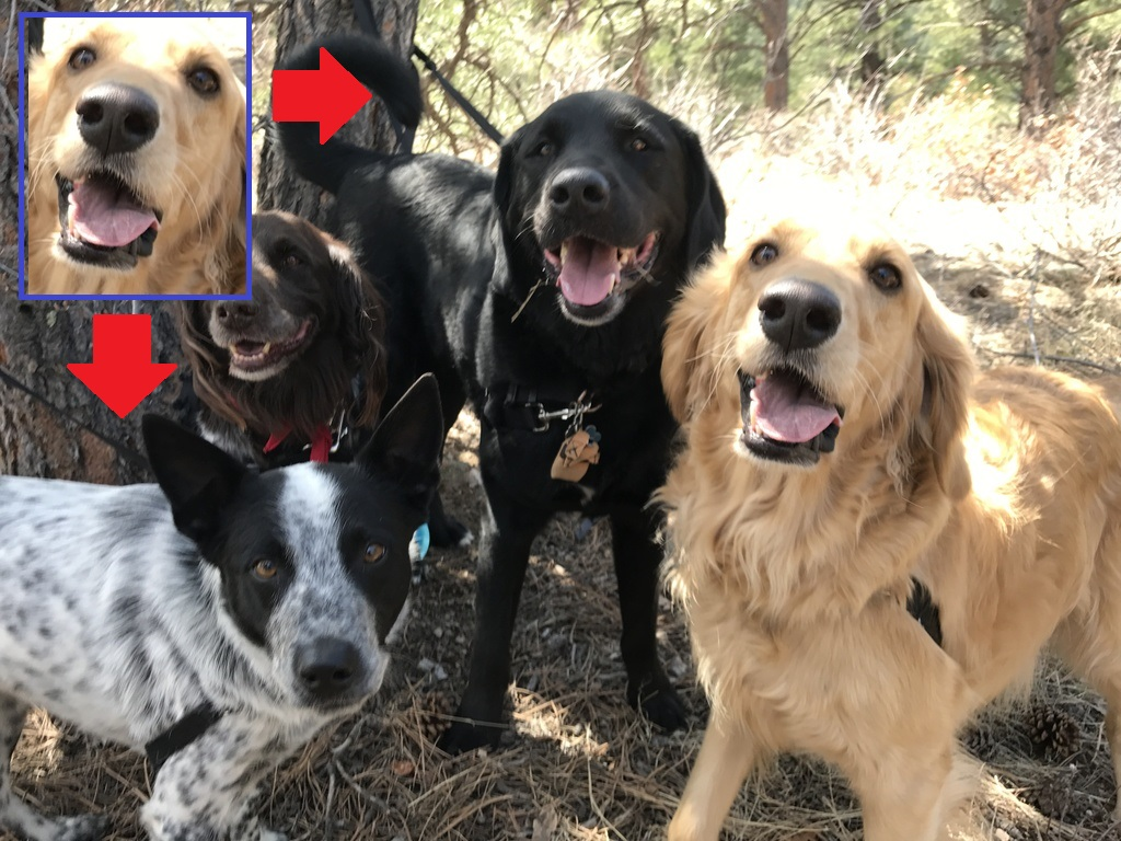 Preventing Duplicate Data for Elasticsearch | by Robotic Automation Expert (RAX ...