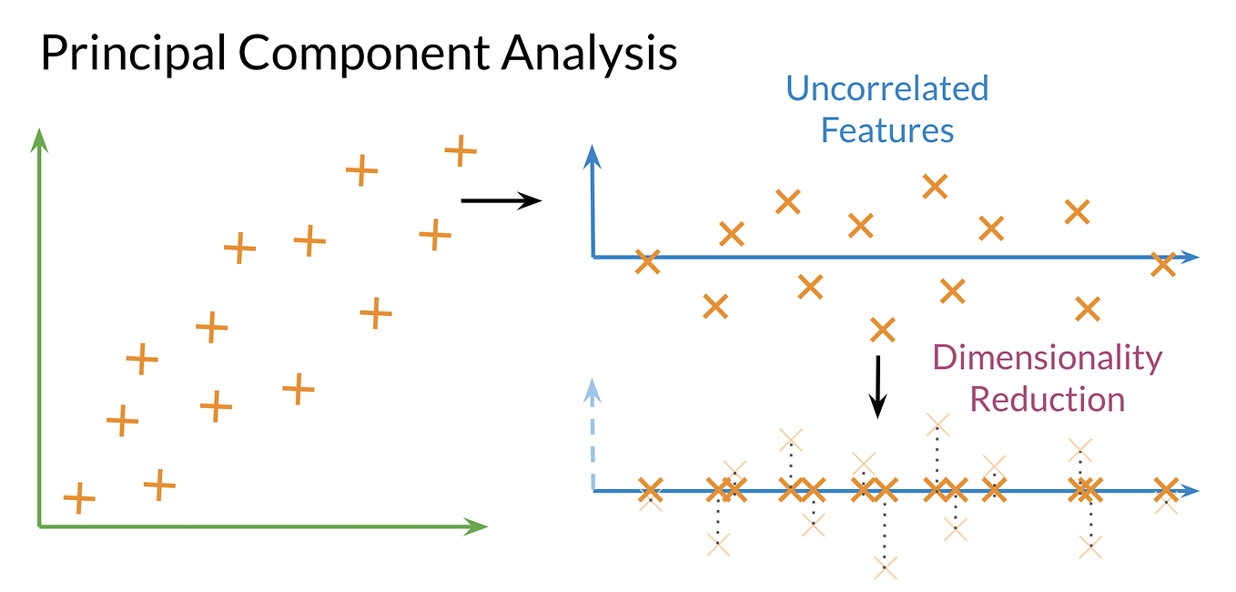 Spell check and correction[NLP, Python] | by Yash Jain | Medium