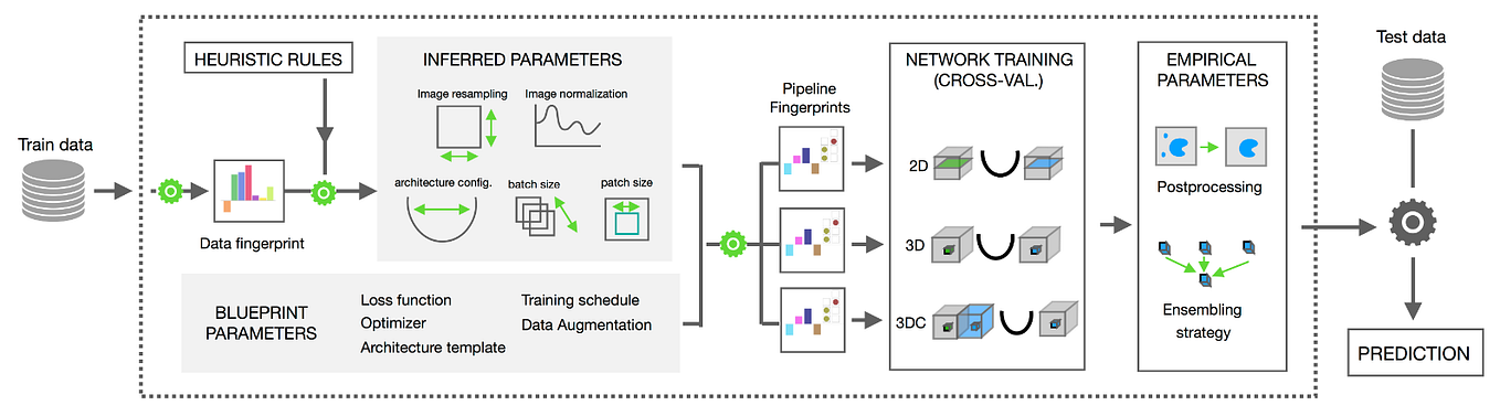 A beginner’s guide to shape analysis using Deformetrica | by Benoit ...