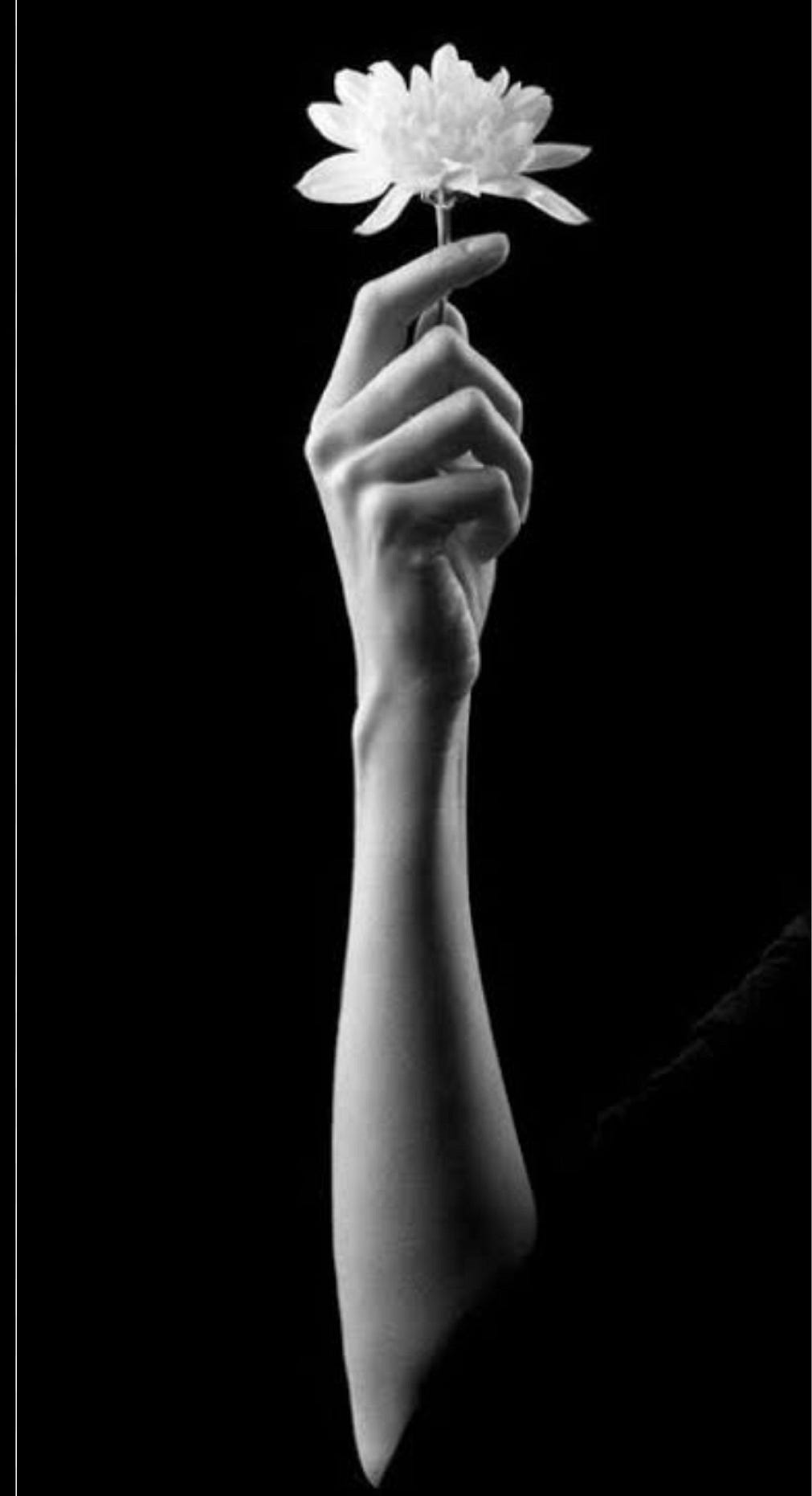 Yes , this is a very famous saying - Tahira Butt - Medium