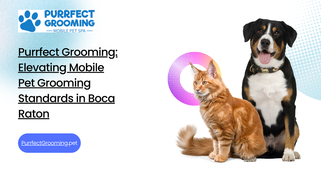 Teeth Cleaning for Dogs: Ensuring Your Pet’s Best Smile with PURRFECT ...