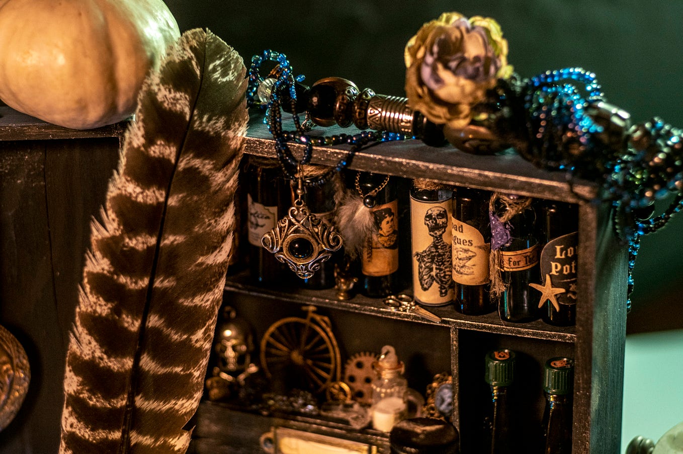 Back Referencing In Regex Python By Liu Zuo Lin Python In Plain English