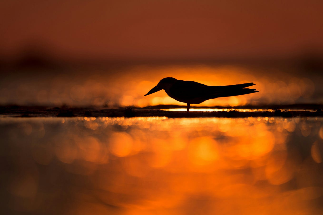 Dynamic Bean Registration in Spring Based on Properties | by Pratiyush | Medium