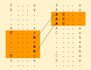 Burrows-Wheeler Transform. Simple and easy explaination of… | by Rishabh Gupta | Medium