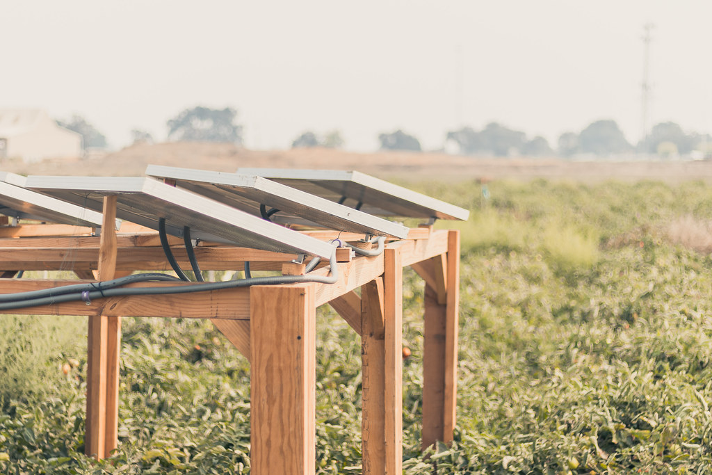 Keeping Their Eyes on Earth. Collider member Eyes on Earth is… | by The ...