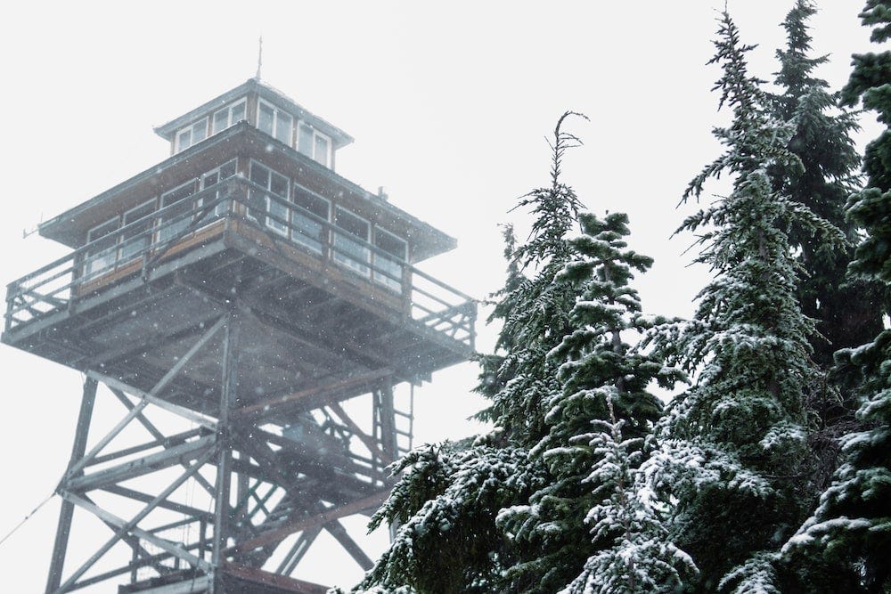 Georgia Tann: The Mastermind of a Black Market Baby Ring That Lasted ...