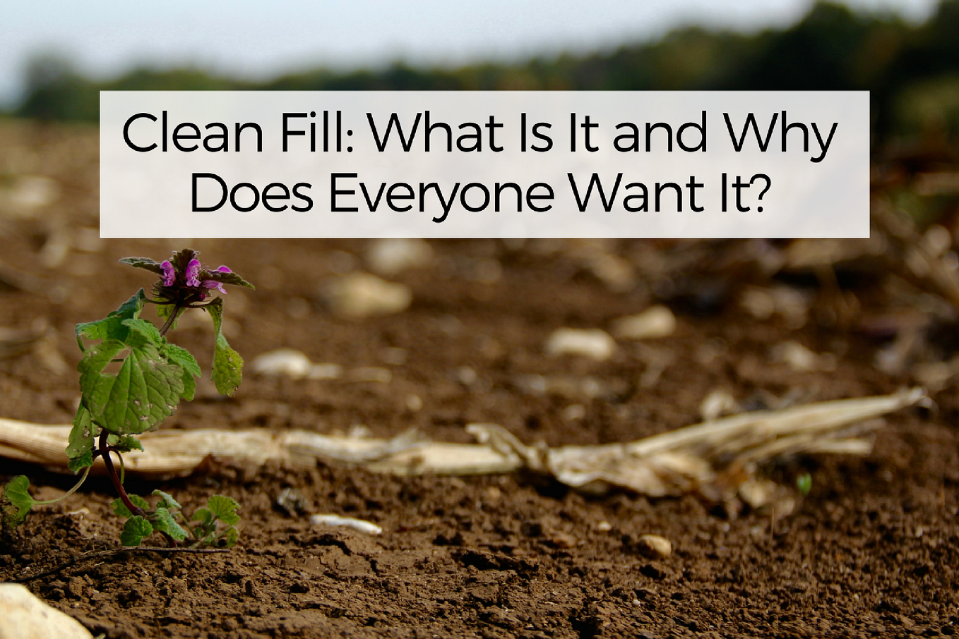 What’s a Kick Plate & Why Do I Need One? | by Megan Wild | Medium