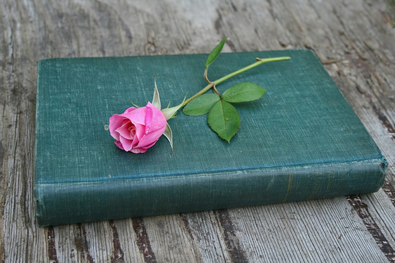The Story Collector Book Review. “Even ordinary people have… | by ...