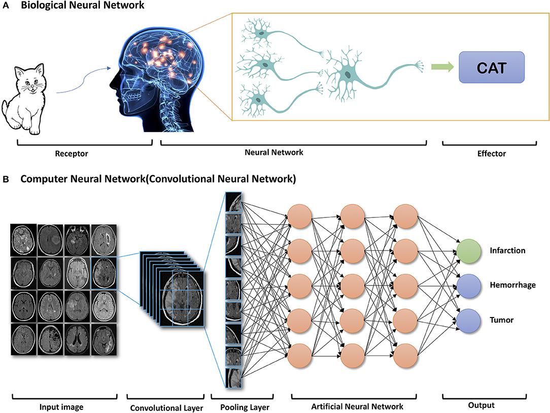 EEG Brainwave Art: Giving a Different Meaning to Our Memories | by ...