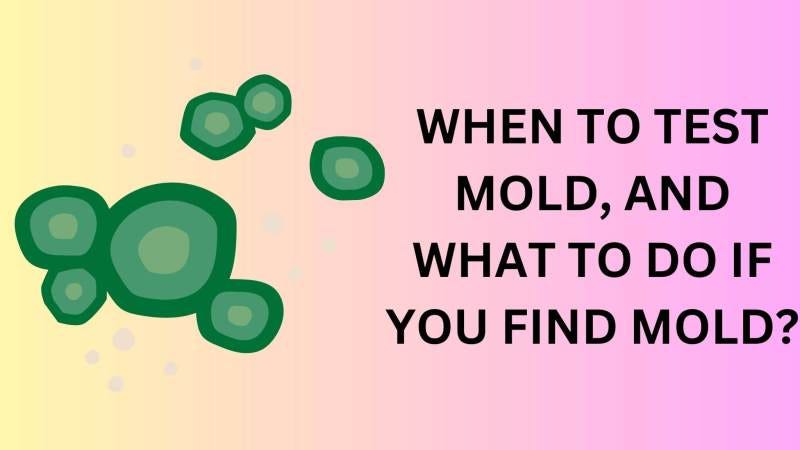 Mold And Babies: Harmful Effects Of Molds To Children | by Nuresto ...