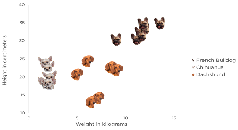 K-Nearest Neighbors (KNN). Implementation and evaluation of KNN… | by ...