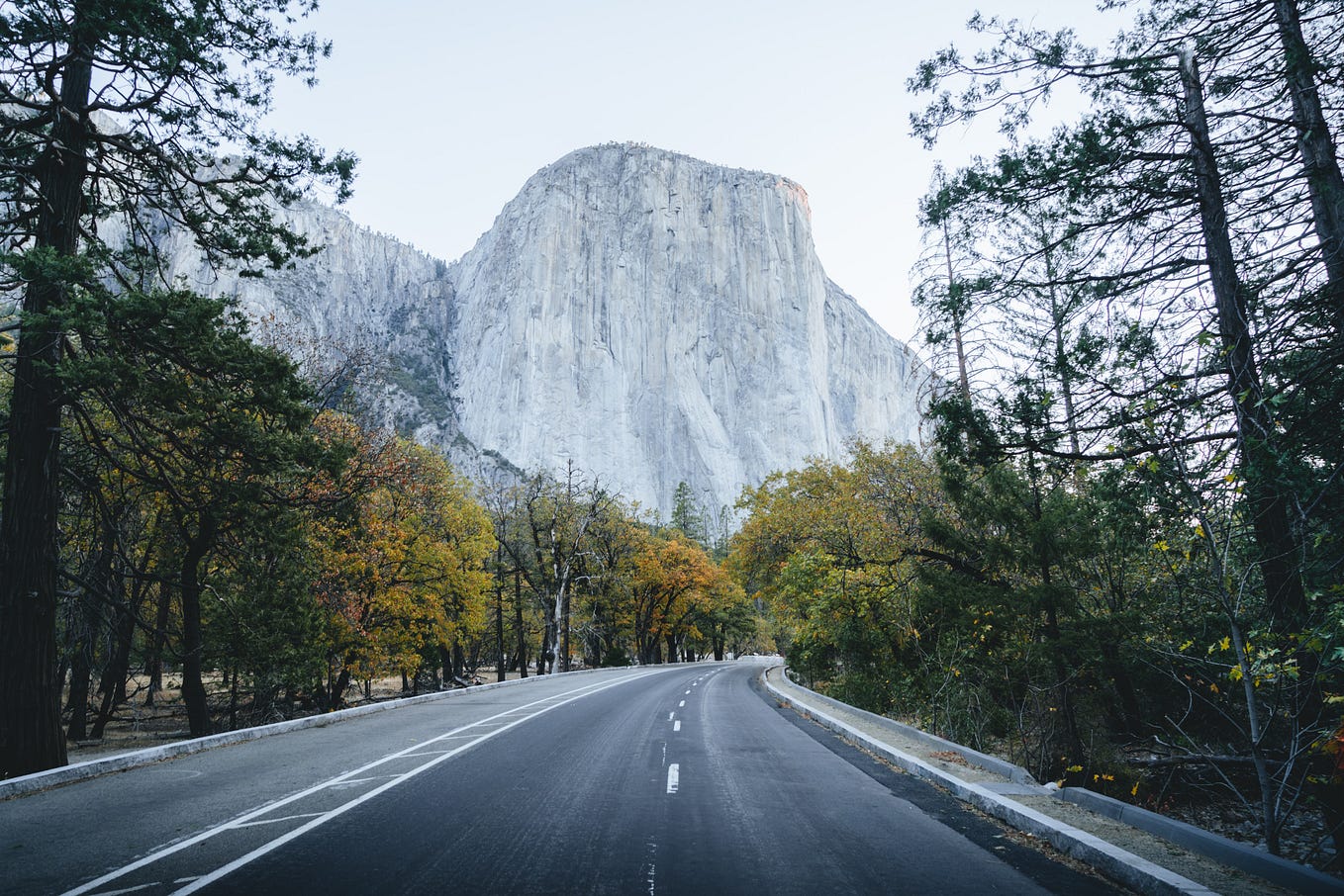 Mastering Custom Hooks: Build React Hooks Like a Pro | by Mehdi Taghdisi | Aug, 2023 | Medium ...