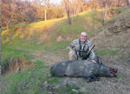 Hog Hunting in Hawaii: Essential Tips and Conservation Efforts by ...