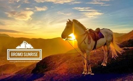 Harga Tiket Masuk Wisata Gunung Bromo | by Wonderful of Bromo | Medium