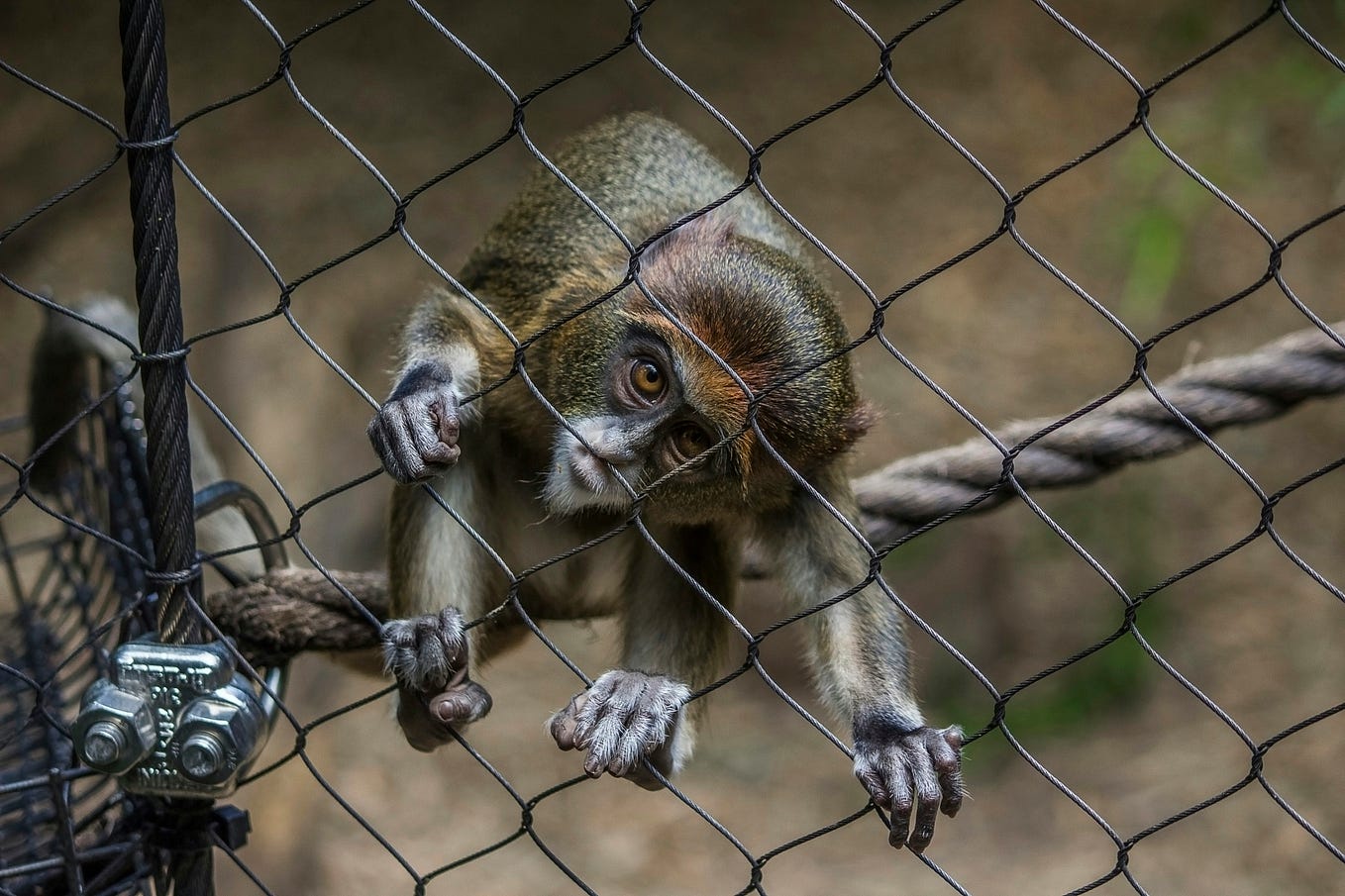 The Unfiltered Year-End Reflection | by Gabriela Trofin-Tatár | Dancing ...