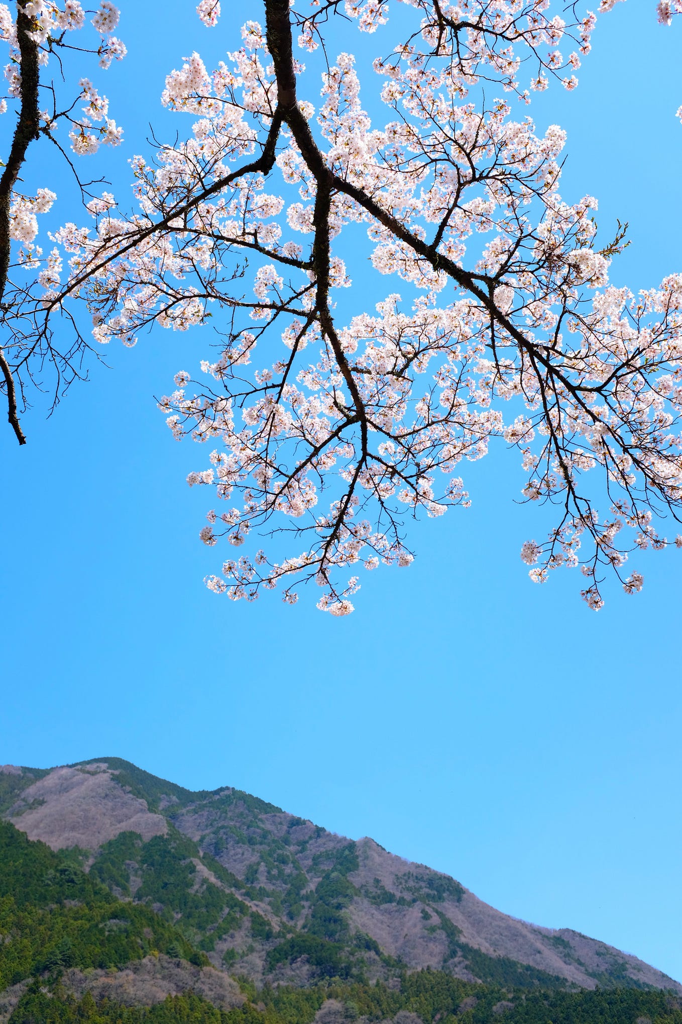 Largest Rectangle in Histogram — Leetcode 84 | by Alok Kumar - Software ...