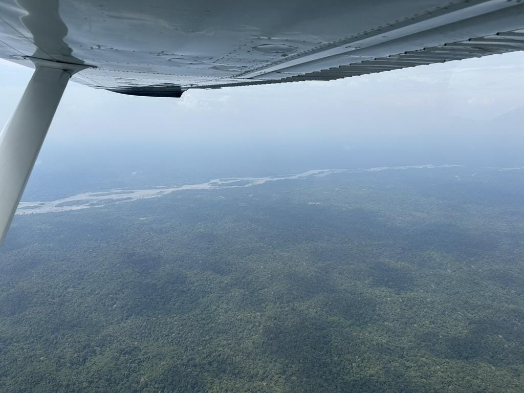 What is the difference between net zero and ecological regeneration? | by Regen Network | Regen ...