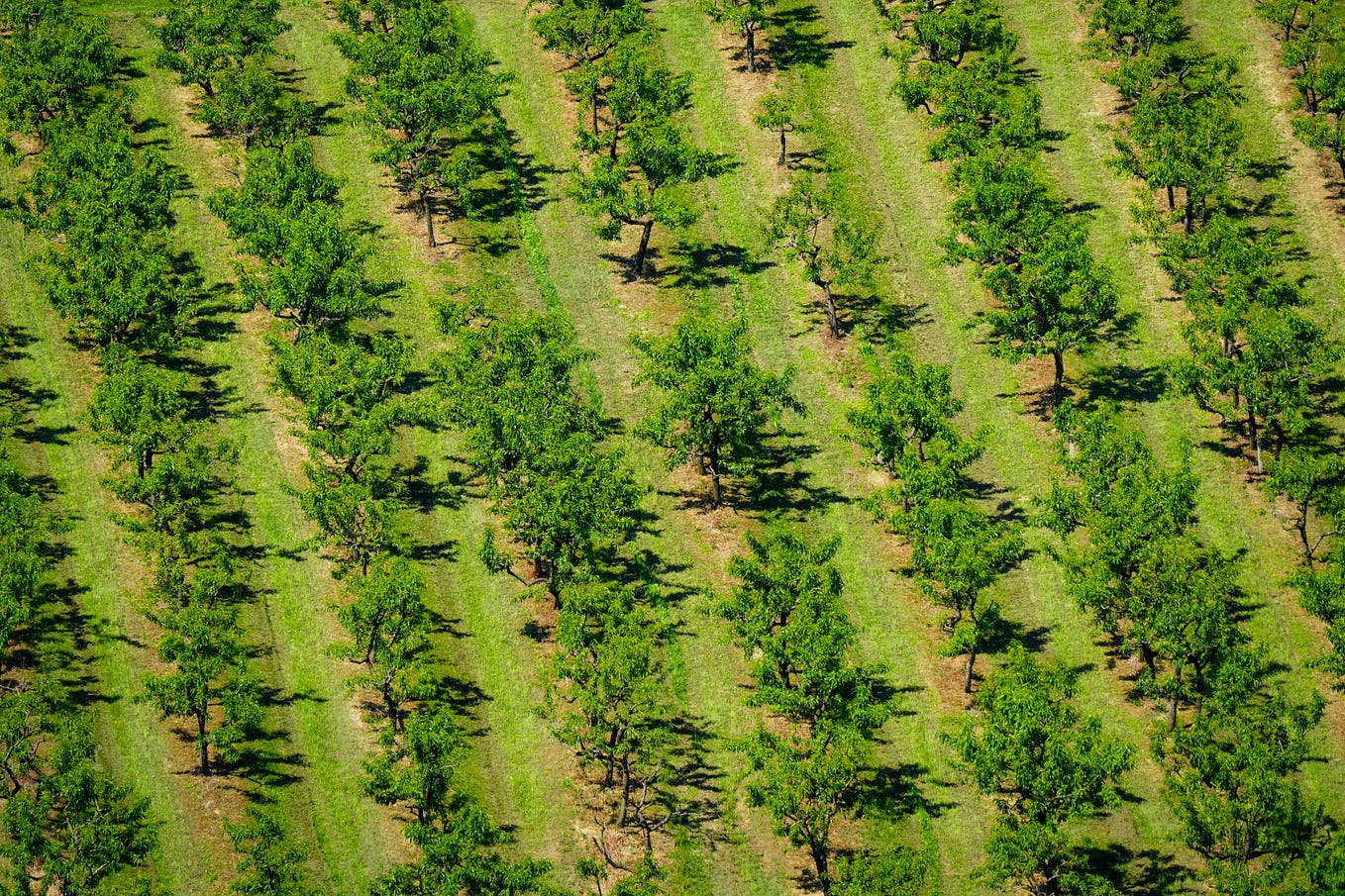 How Families Were Broken in the Name of Double Income | by Anish Jaiswal | Jul, 2025 | Medium