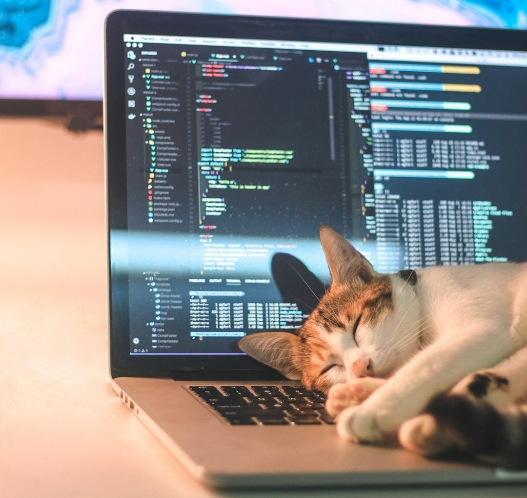 Export Your ChatGPT Conversations to Markdown in a Second | by Matija Žiberna | Medium