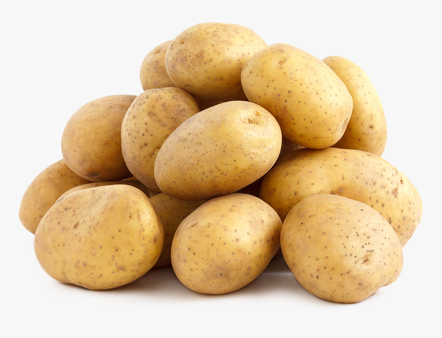 Discover the Best Native Starches for Your Culinary and Industrial ...