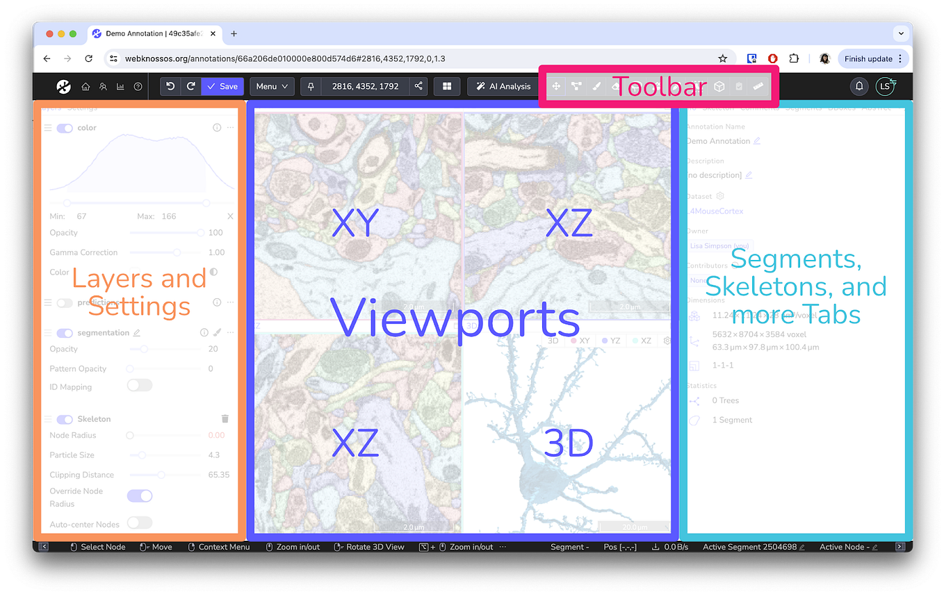 Modeling Uncertainty in Regression Models | by Georg Wiese | WEBKNOSSOS | Medium