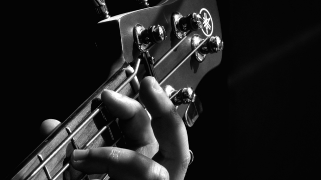 5 Ways to Use Scales to Improve Your Bass Playing | by Jason McMahan ...