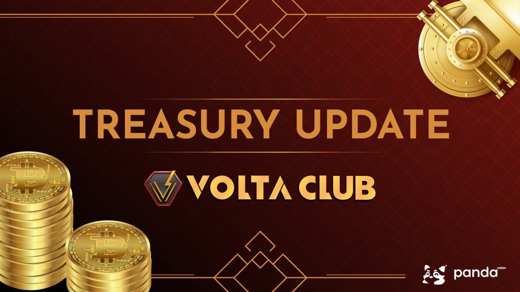 Volta Treasury Report Q1 2024. The treasury spreadsheet showing… | by ruian | Volta Club ...