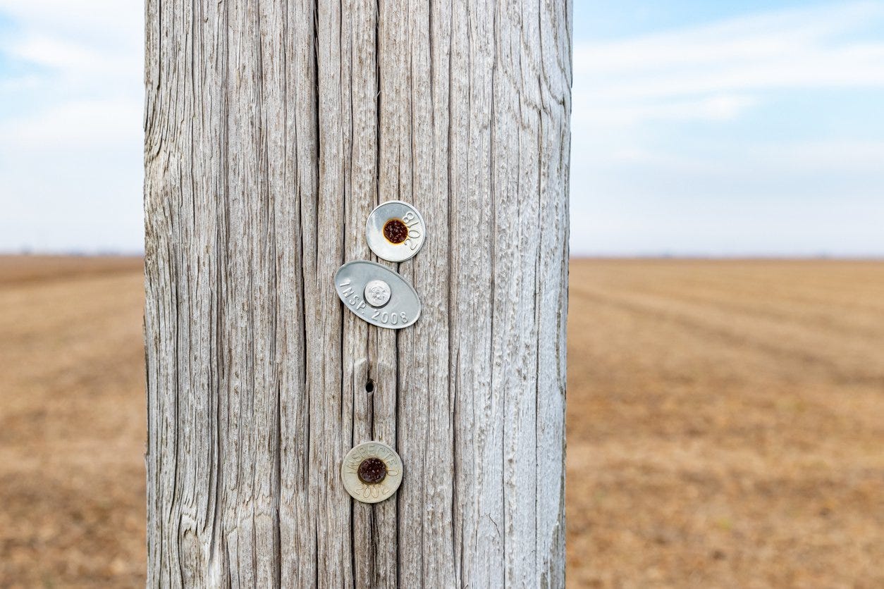 Achieve Accurate Models with Proper Data Capture through the gNext Platform | by gNext | gNext ...