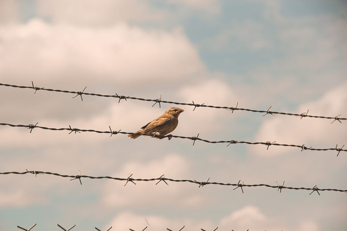 React Rendering through Virtual DOM (the Diffing algorithm ...