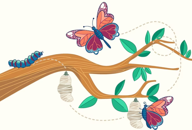 Advanced React Concepts Part 1. Exploring Memoization in React | by Ashutosh Kumar | JavaScript ...