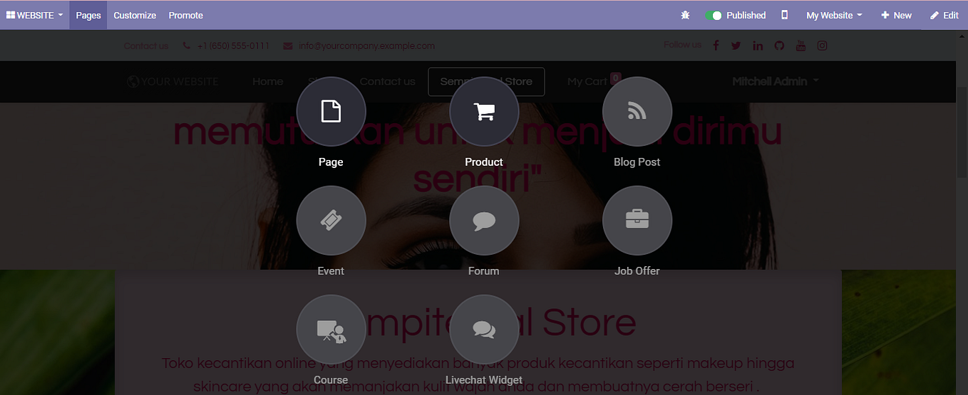 Odoo 14 — Bangun dan Desain Toko Online | by Nhishaaulia | Medium