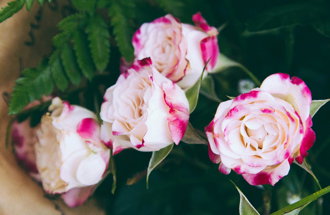 Sunshine on My Mind. A constant friend | by Amy Christie | Knowing Muse ...